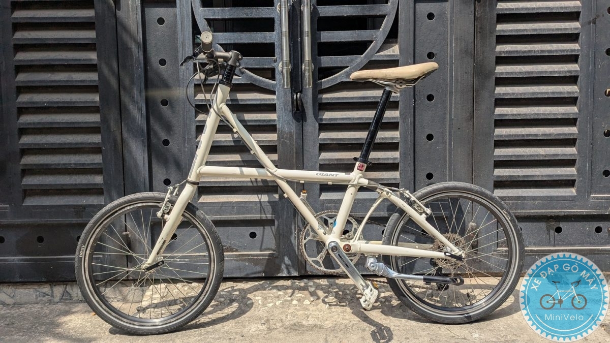 Giant Escape Mini RS màu trắng - Xe Đạp Gò Mây